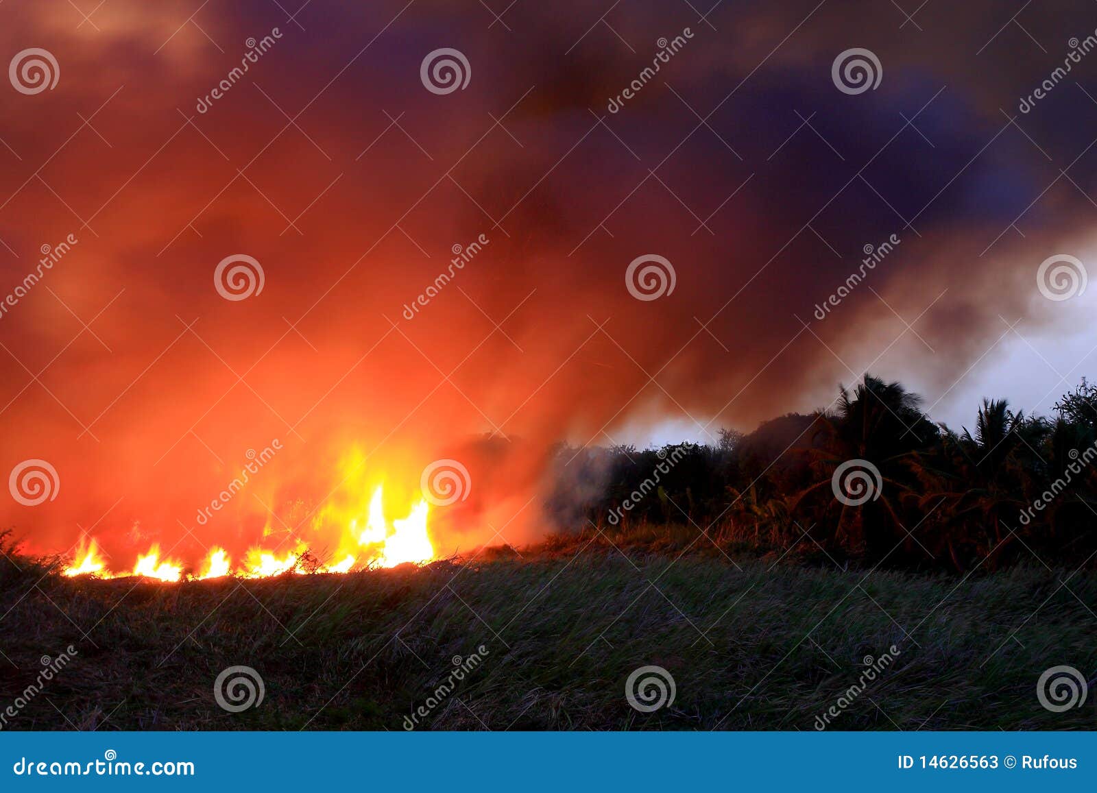 Fire Burning Wild through Bushland Stock Image - Image of disaster ...