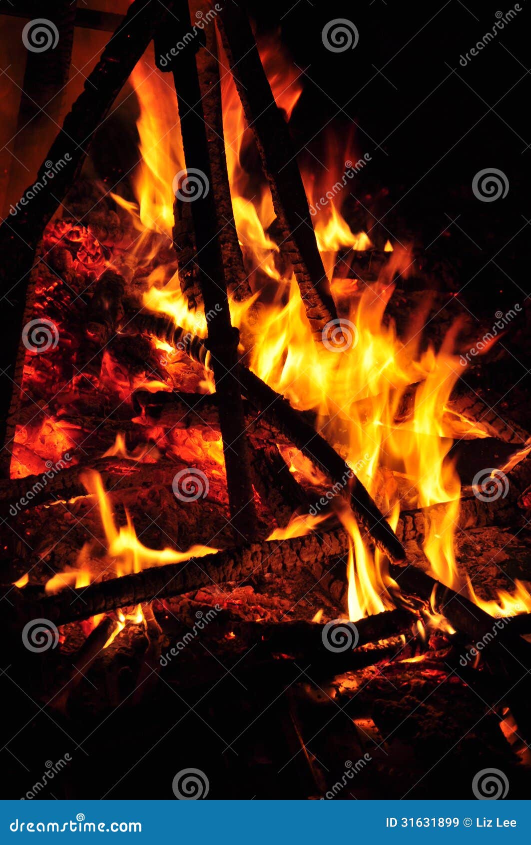Fire Burning Wood stock image. Image of heat, burn, fire - 31631899