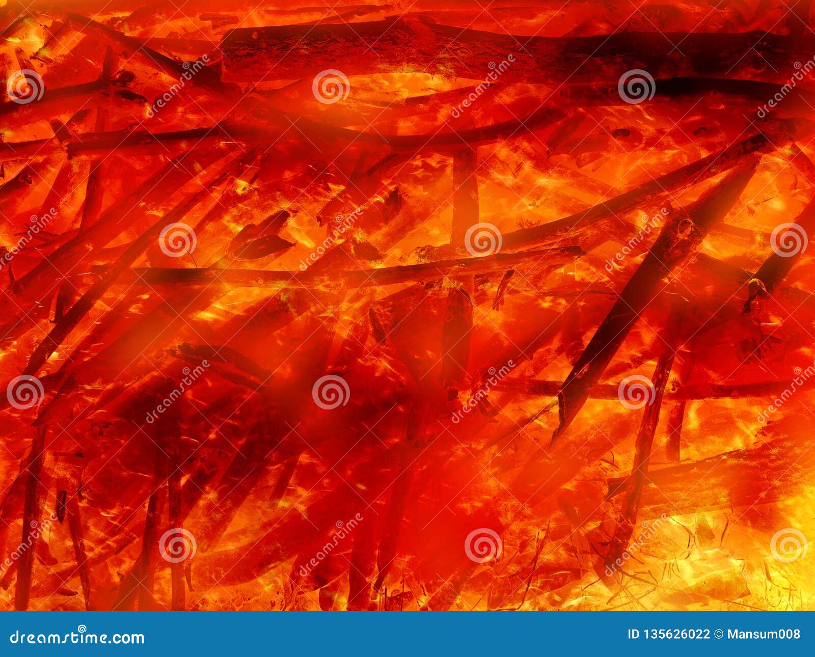 Fire Burning Wood in Forest Stock Photo - Image of branch, wood: 135626022