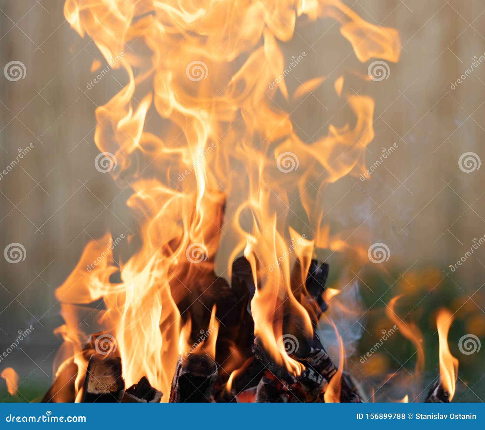 The fire stock photo. Image of blazing, blaze, fiery - 156899788