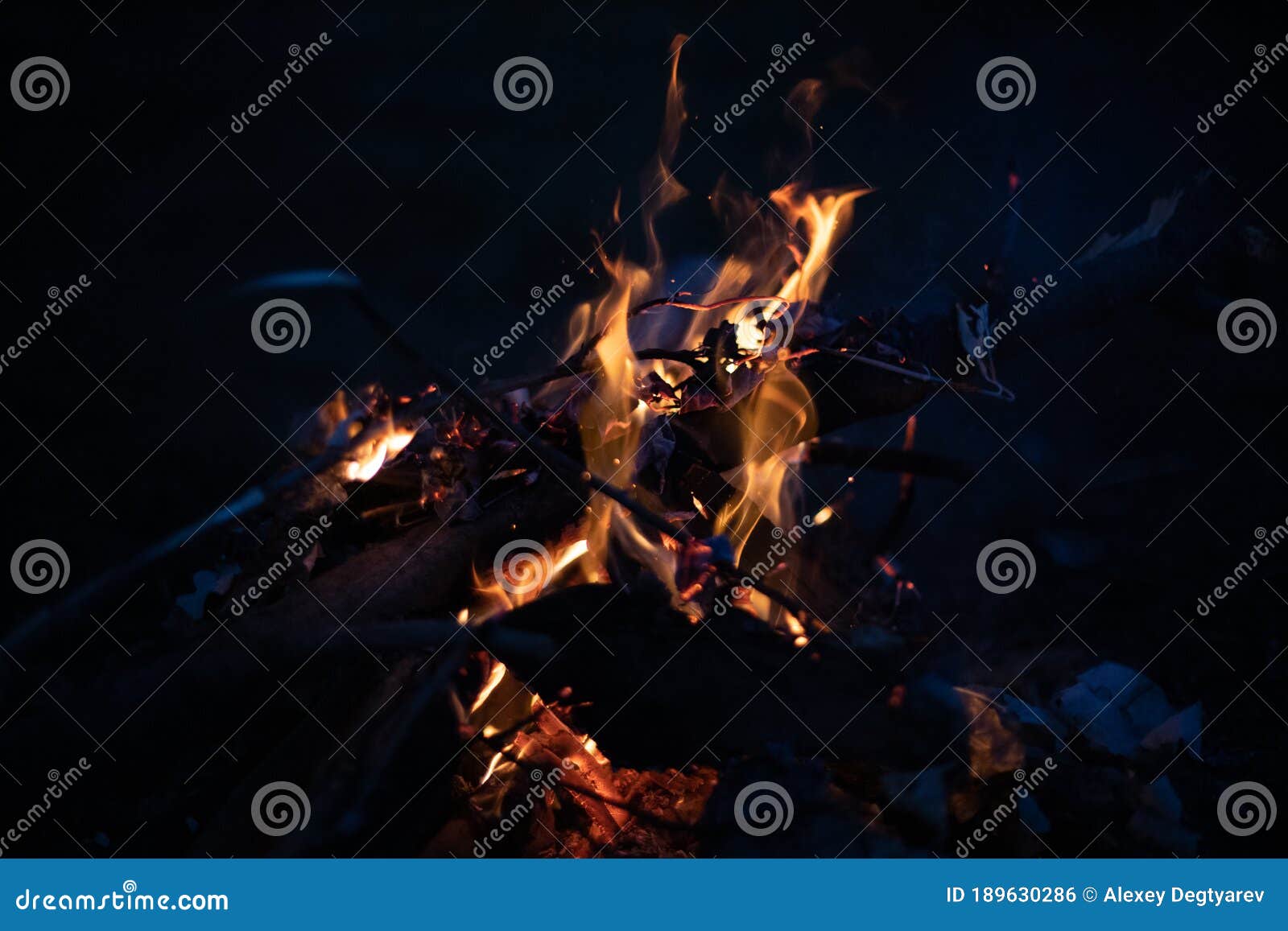 Fire Burns with a Bright Flame at Night. Branches and Wood are Burning ...