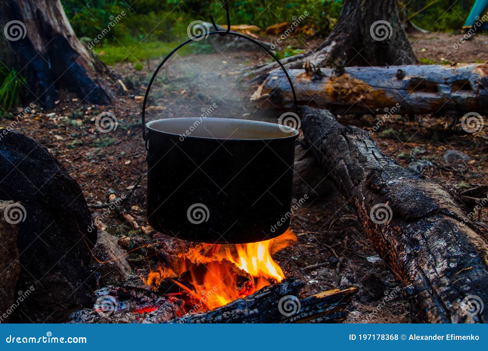 Fire Burns in the Campaign. Pot of Tea by the Fire Stock Photo - Image ...