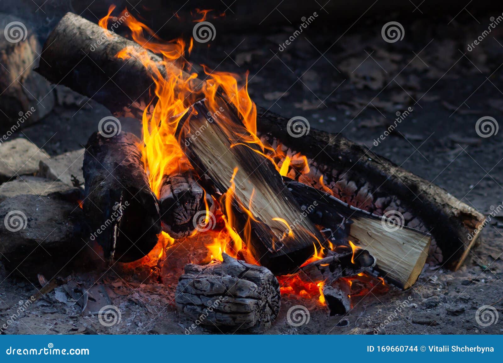 A Fire Burns in a Campfire, Fire To Keep Warm. Stock Photo - Image of ...