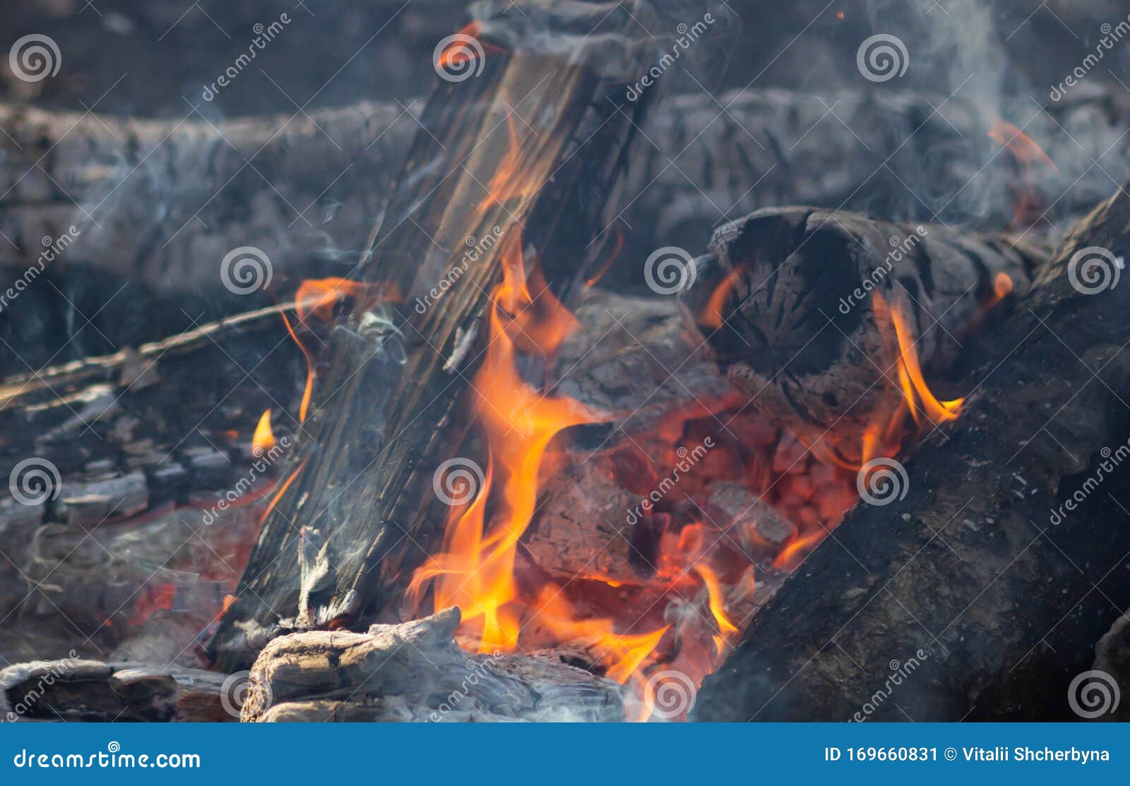 A Fire Burns in a Campfire, Fire To Keep Warm. Stock Image - Image of ...