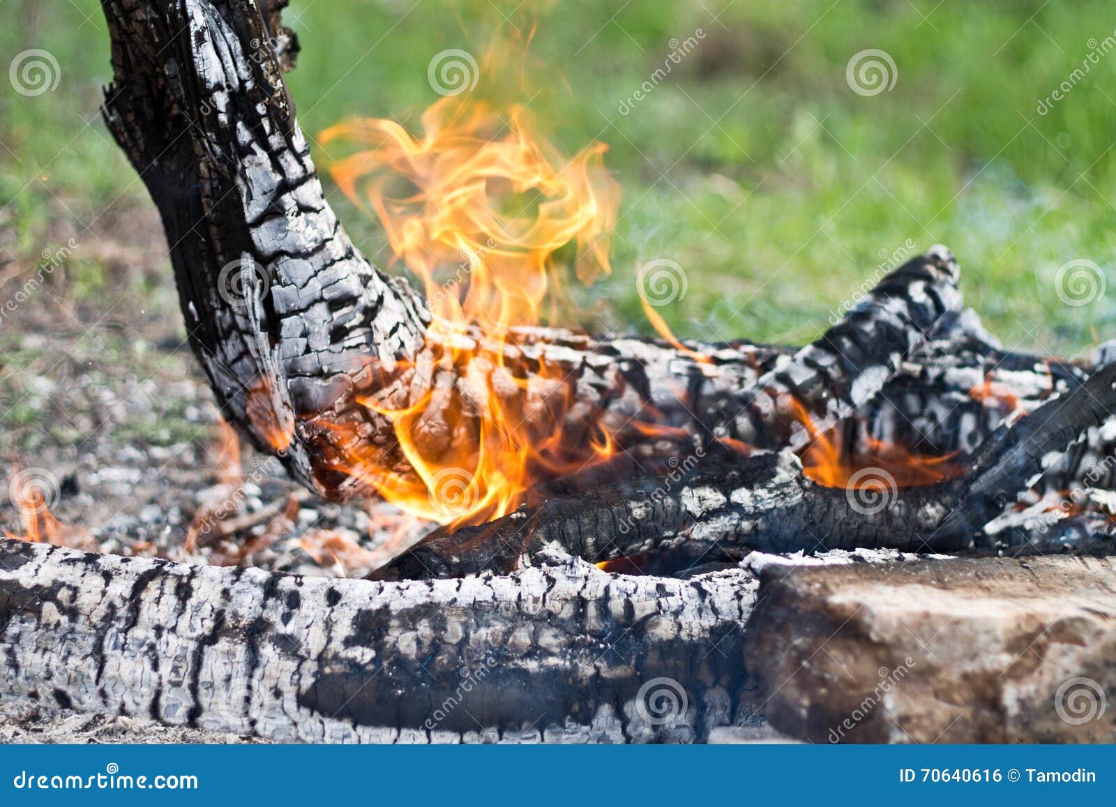Fire burns stock photo. Image of bonfire, fire, lights - 70640616