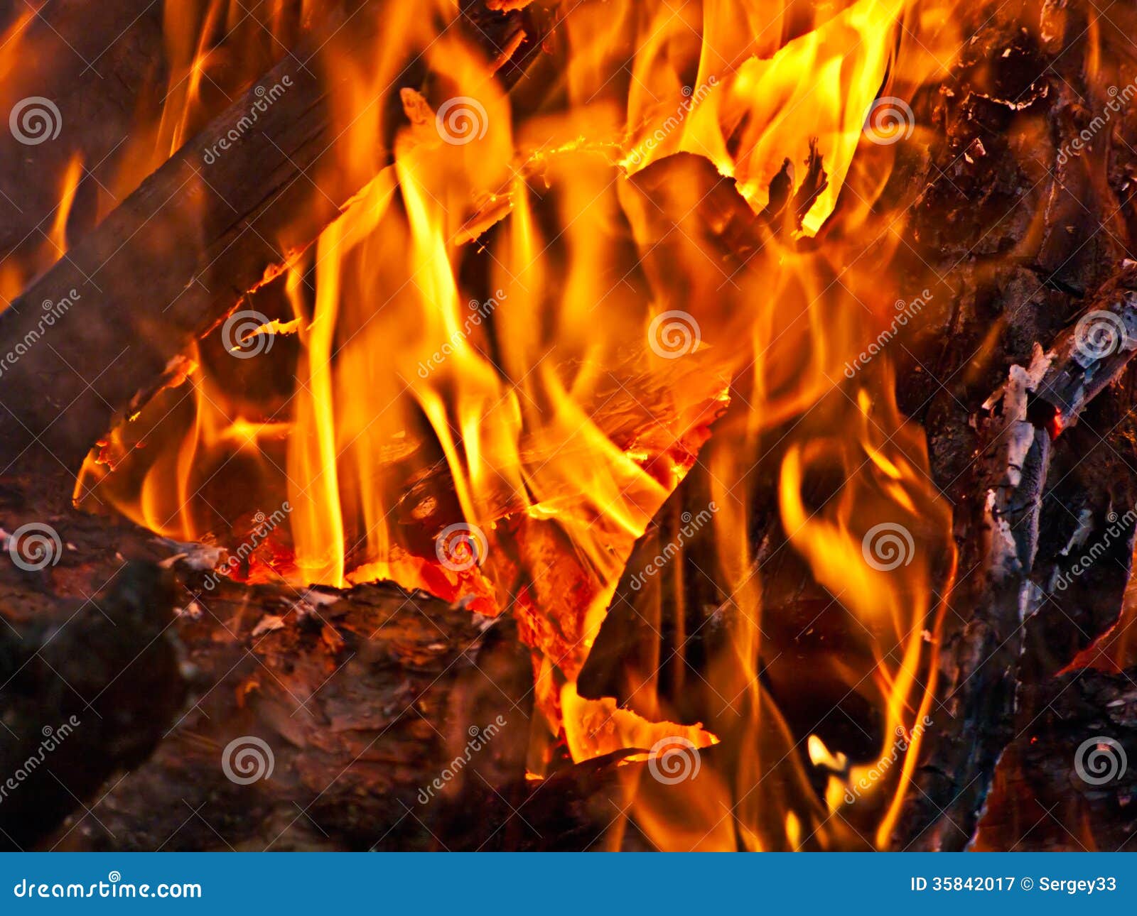 Fire stock image. Image of wood, coldly, night, tourism - 35842017