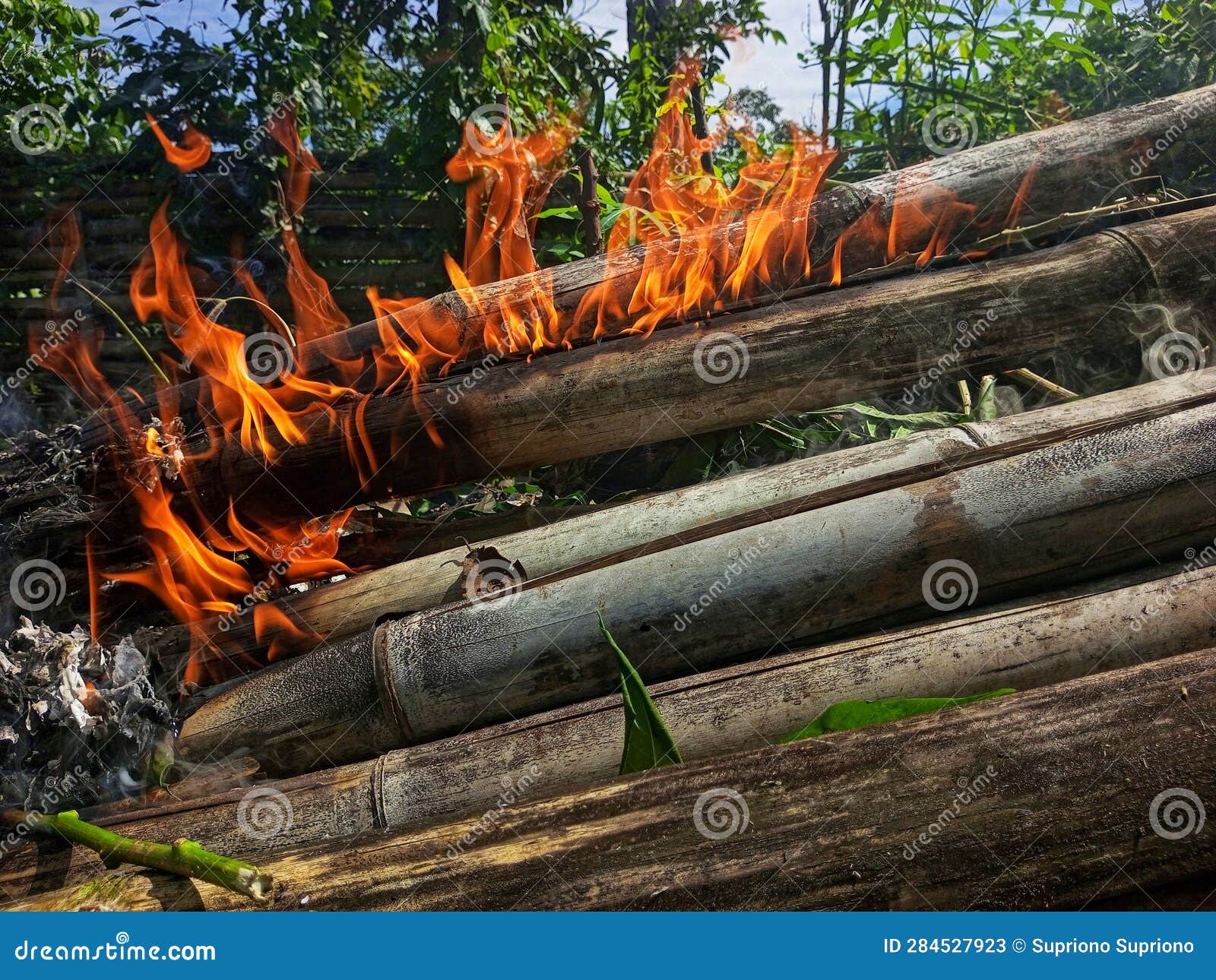 The Fire Burns the Dried Bamboo Stock Image - Image of nature, chinese ...