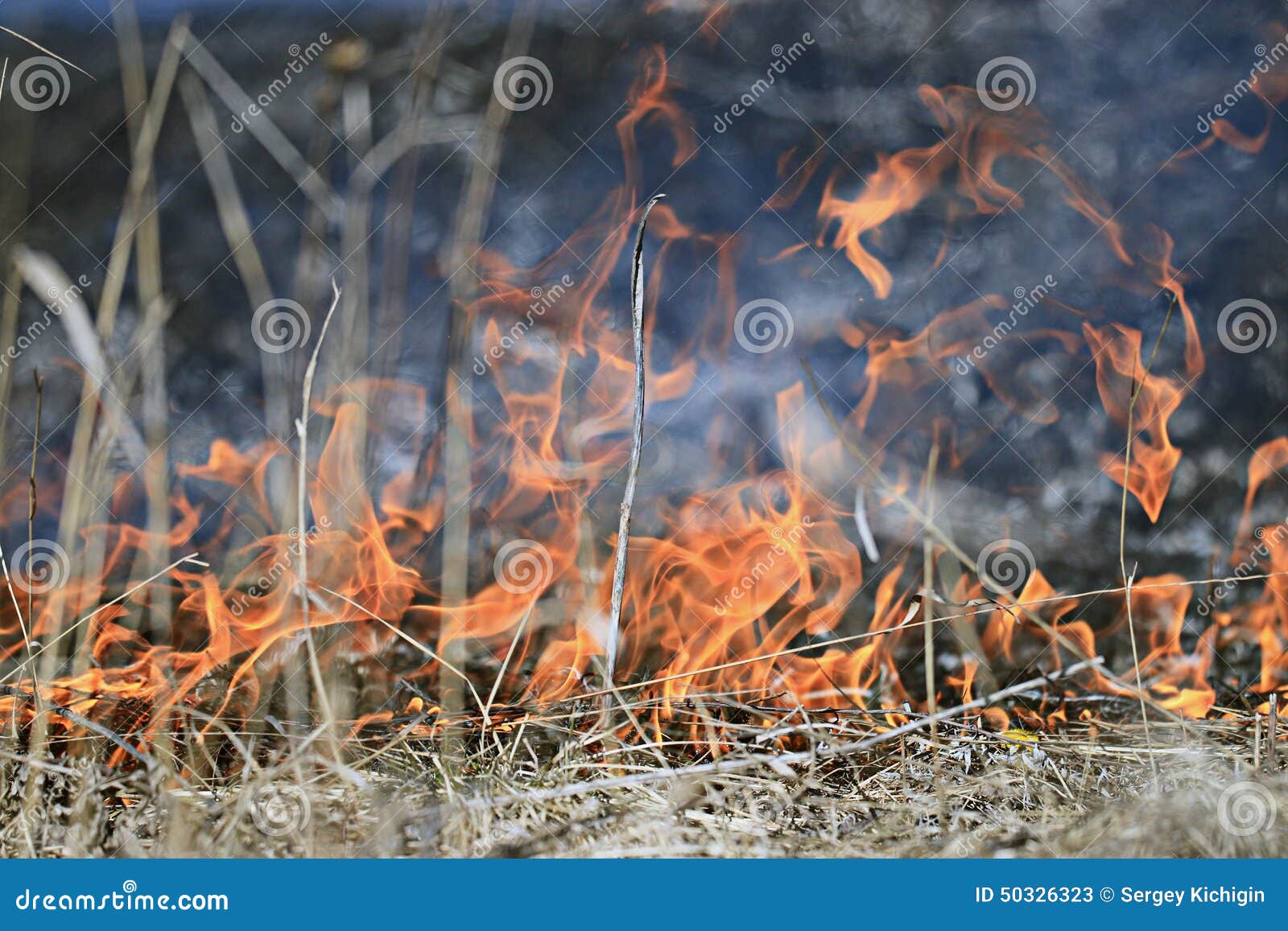 A Fire Burns Inside The Forest In A Full Moon Night With An Ursa Major ...
