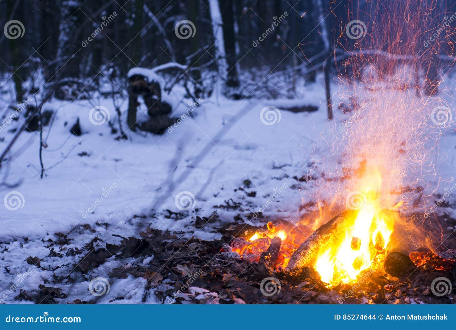 Fire Burns in the Snow in the Woods, a Background of Snow Covered Trees ...