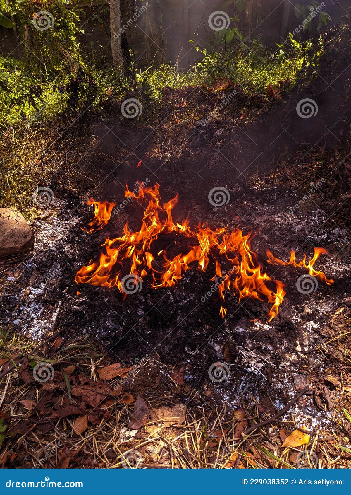 Fire that burns trash stock photo. Image of plant, trash - 229038352