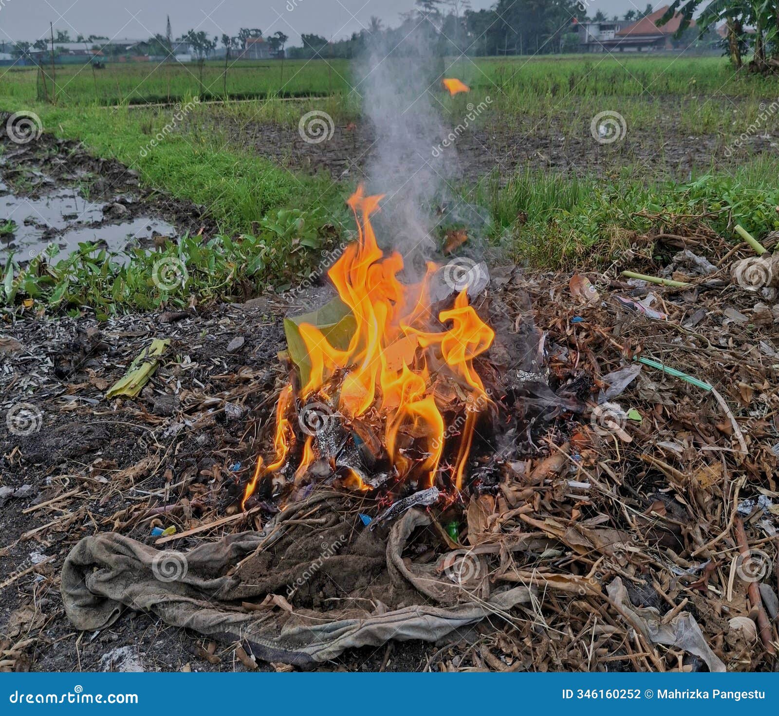 Fire burns trash stock photo. Image of asphalt, burns - 346160252