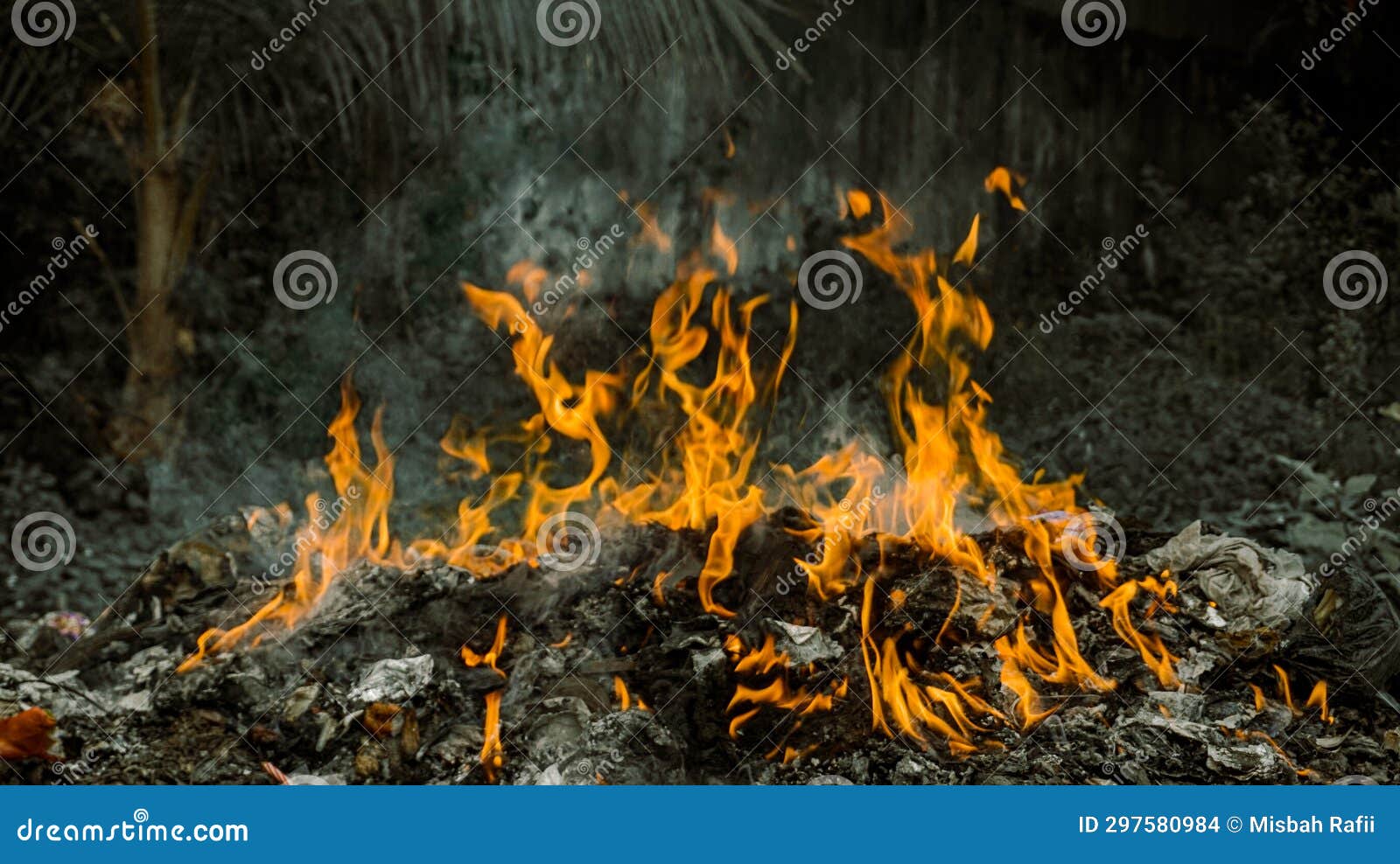 Fire that Burns Tree Branches Stock Photo - Image of flame, fire: 297580984