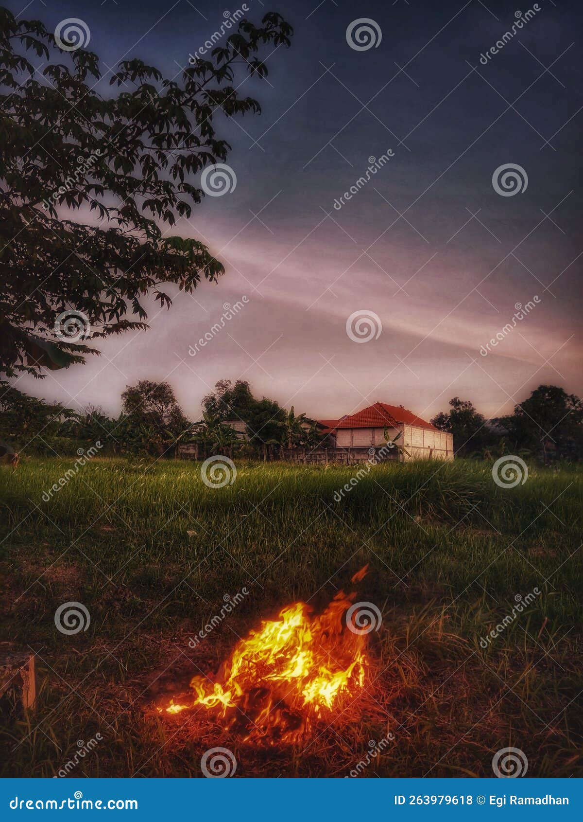 Fire in the Bush stock photo. Image of blue, fire, afternoon - 263979618