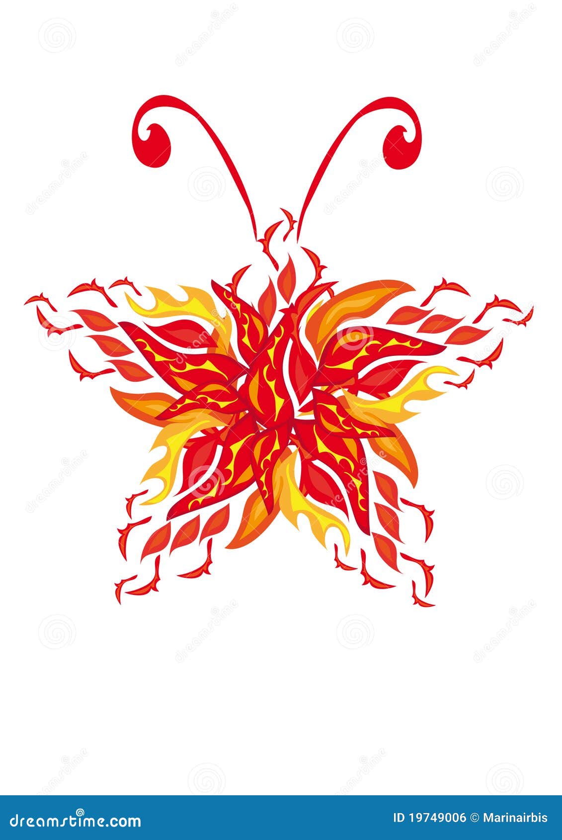 Fire Butterfly on Isolated Background Stock Photo - Image of orange ...