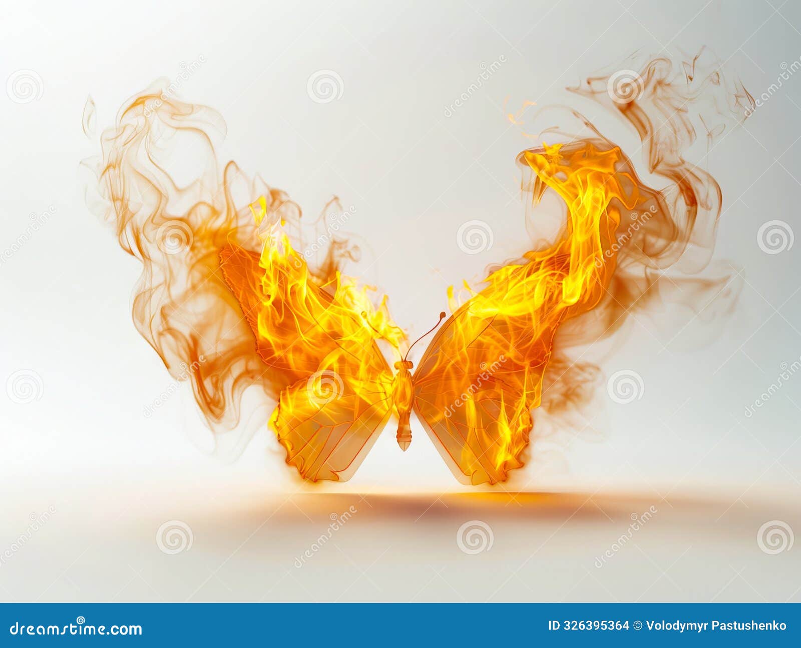 A Fire Butterfly on a White Background Stock Photo - Image of white ...