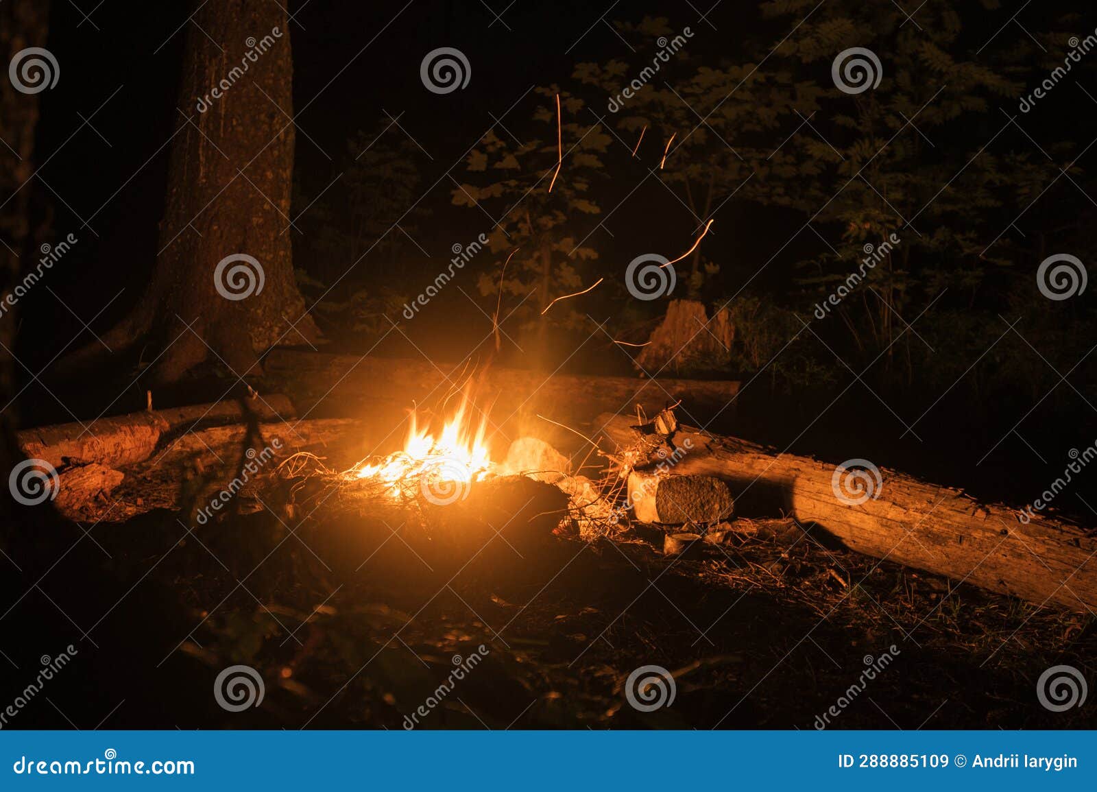 Fire camping stock image. Image of warm, light, heat - 288885109