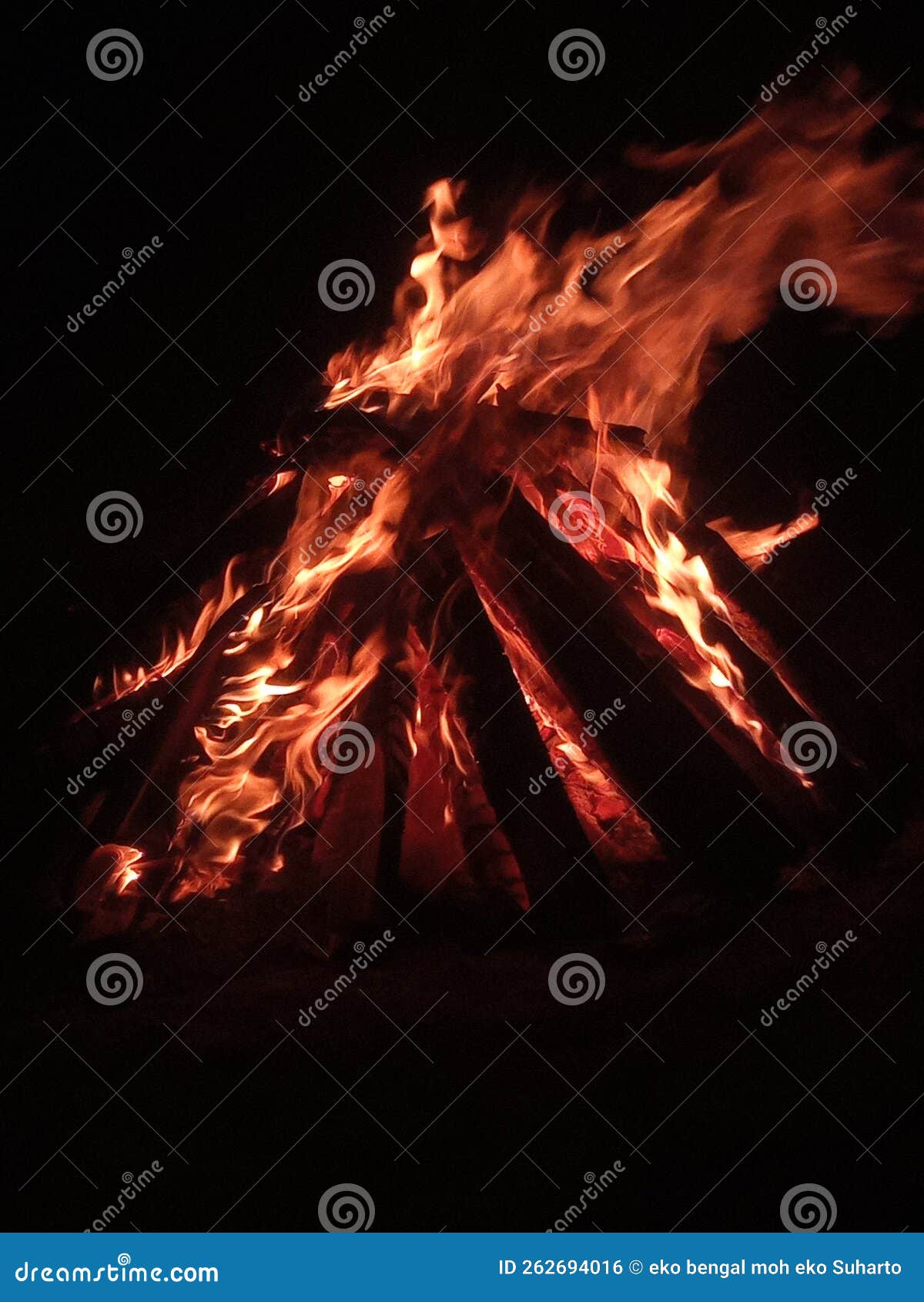 Fire Can Burn Can Also Warm and Choose Stock Photo - Image of bonfire ...