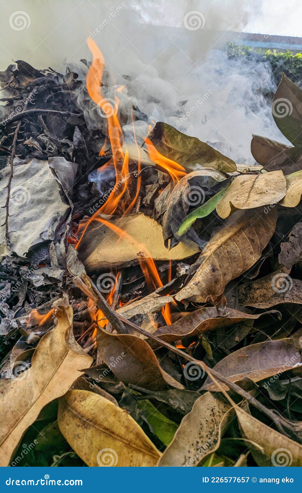 Fire Can Burn Anything As Far As we Can Handle it Stock Image - Image ...