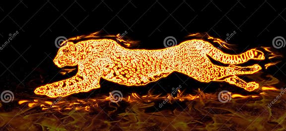 Fire Cheetah stock illustration. Illustration of animal - 187023345