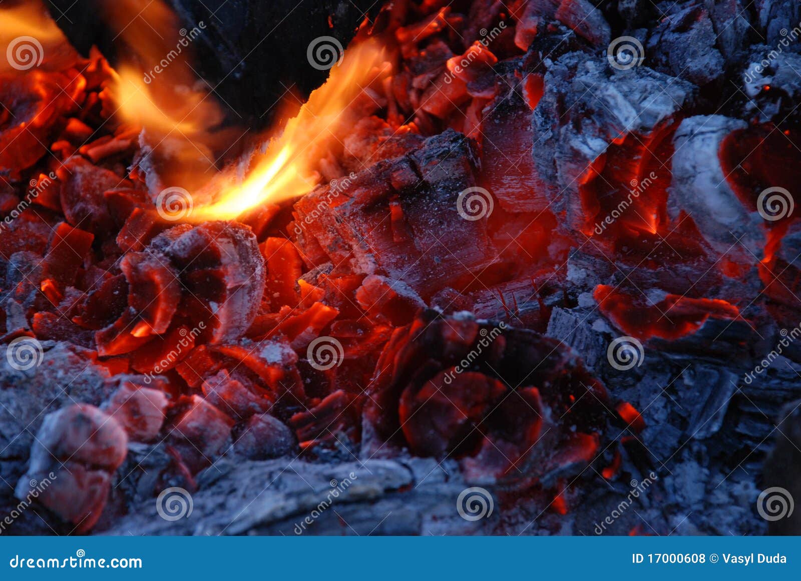 Fire coals stock photo. Image of light, bonfire, burning - 17000608