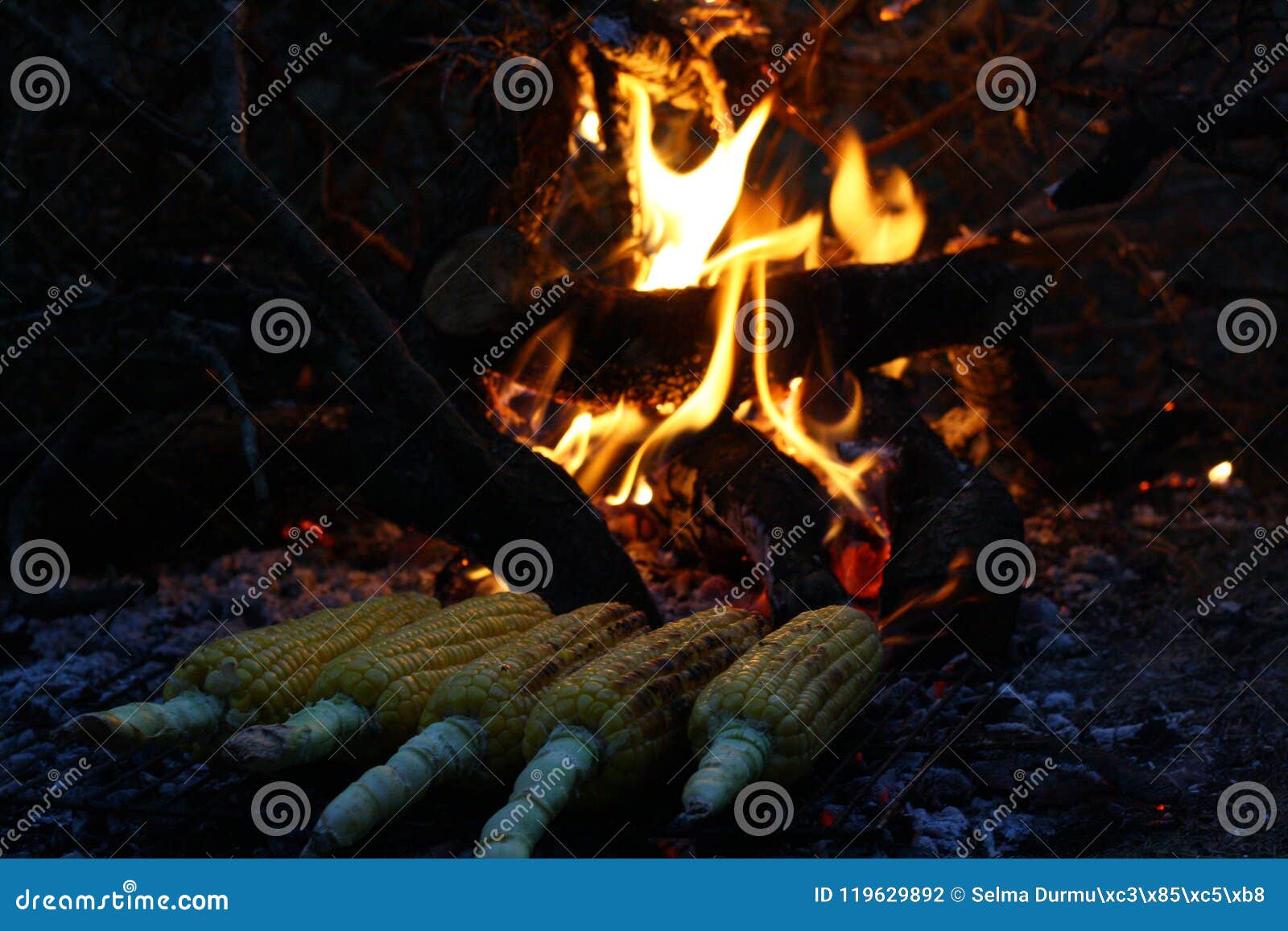 Fire corn stock photo. Image of light, black, heat, fireplace - 119629892