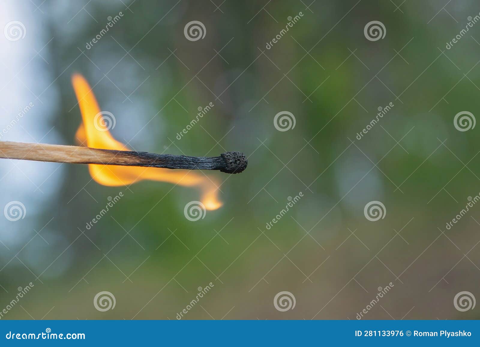 Fire Danger in the Forest. a Burning Match Stock Photo - Image of ...
