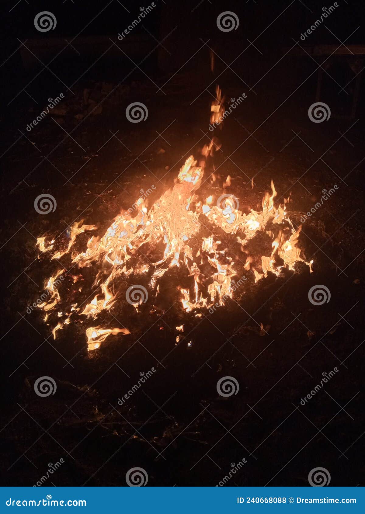 Fire in the dark night stock photo. Image of dark, poster - 240668088