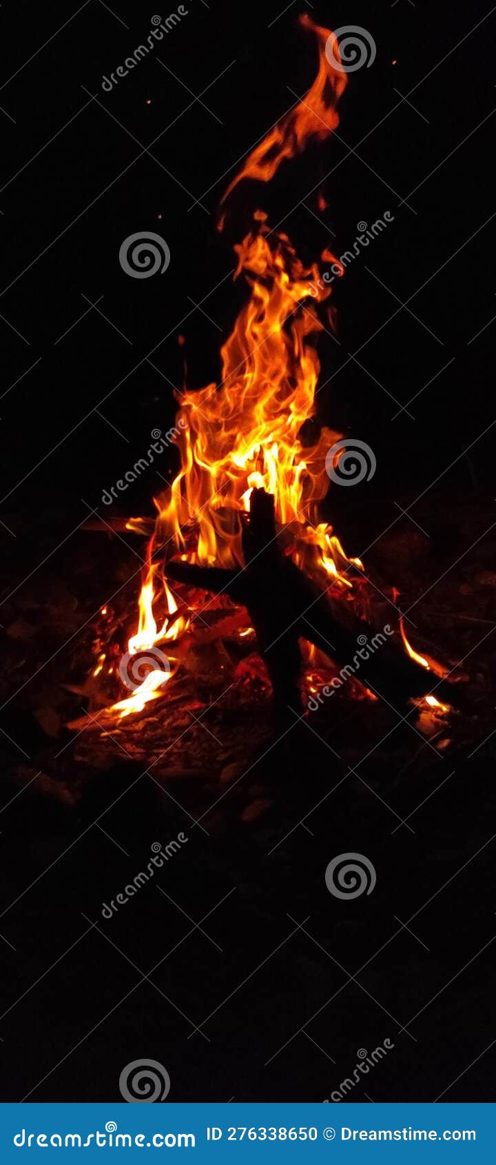 Fire in the dark night stock photo. Image of night, saber - 276338650