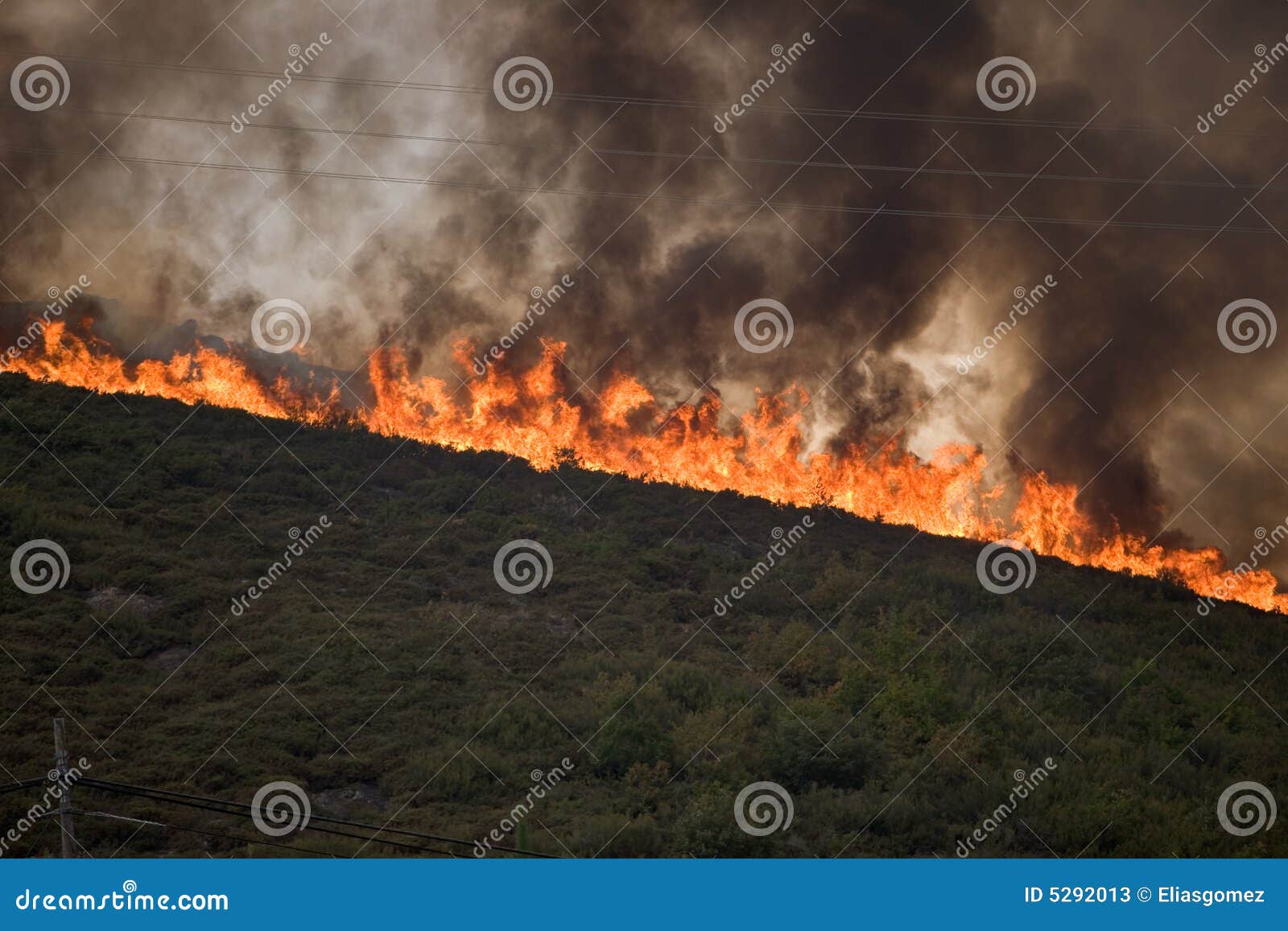 Fire & Deforestation stock image. Image of burnt, urgency - 5292013