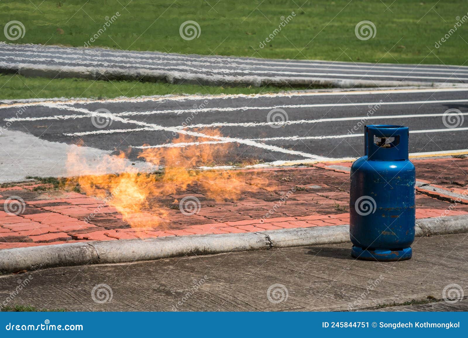 Fire demonstration stock image. Image of protests, fire - 245844751