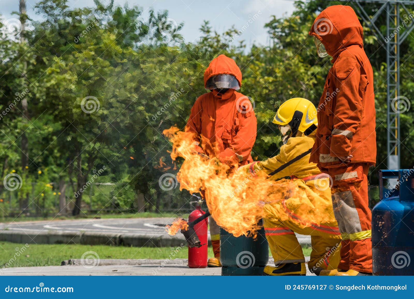 Fire demonstration stock image. Image of protesters - 245769127