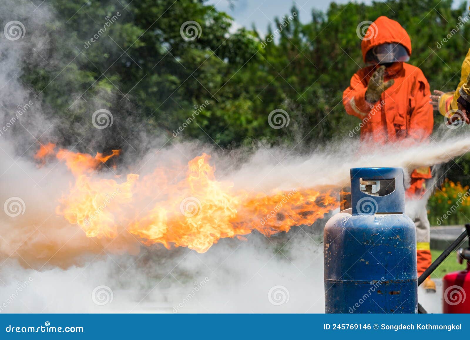 Fire demonstration stock photo. Image of smoke, protest - 245769146