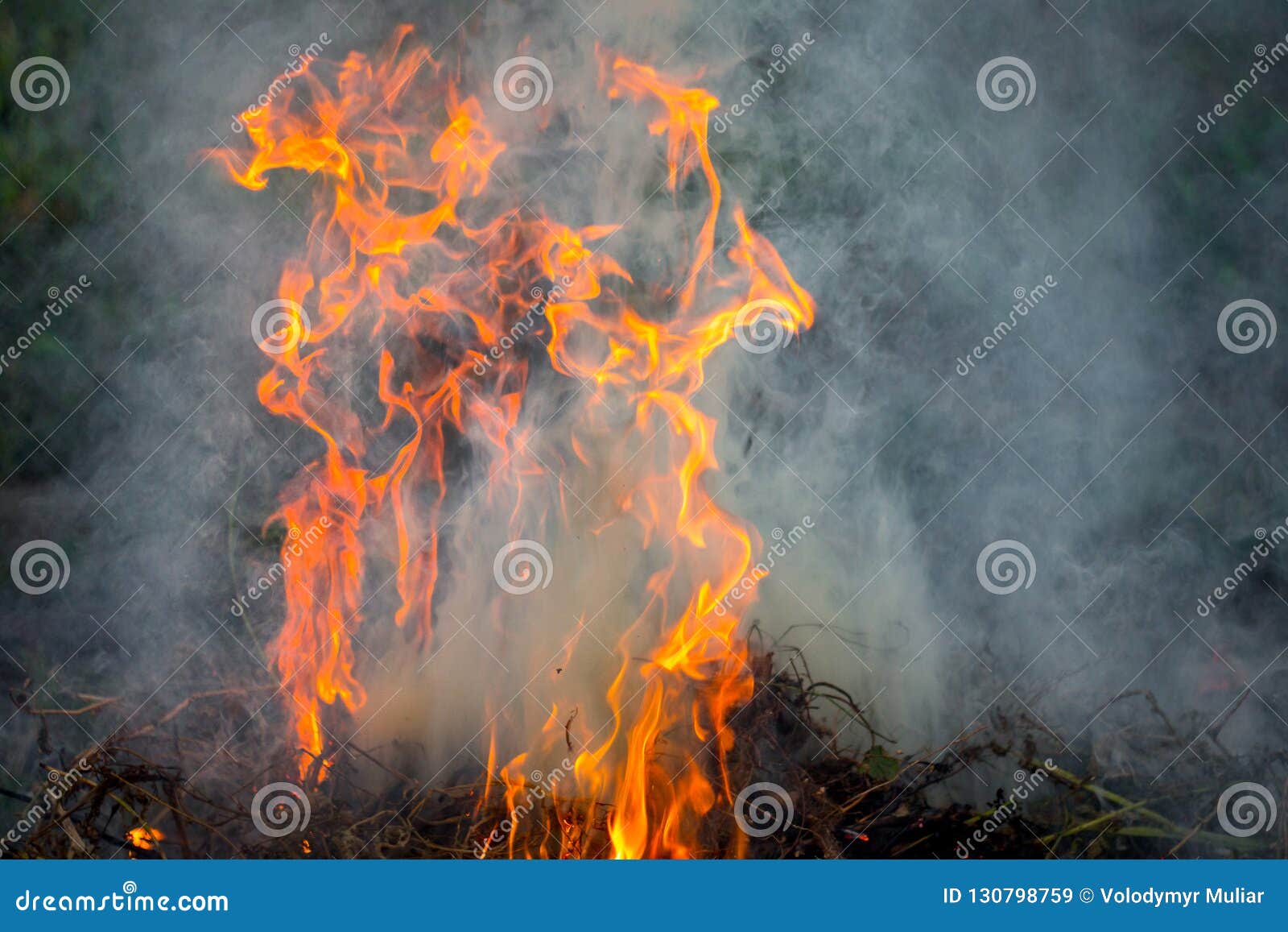 Fire and Dense Smoke during Burning Garbage. Pollution of the En Stock ...