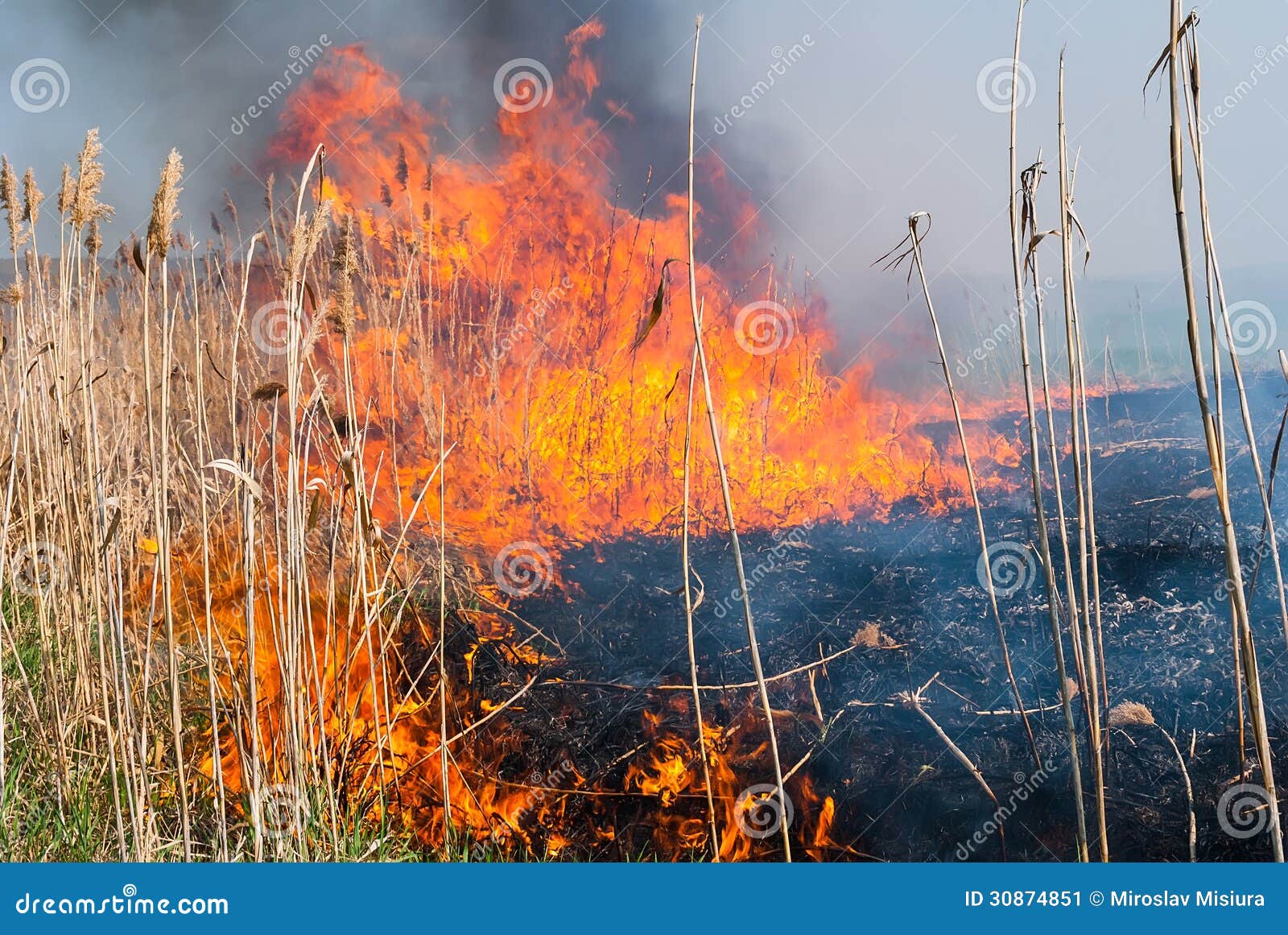 Fire destroyer stock image. Image of wilderness, natural - 30874851