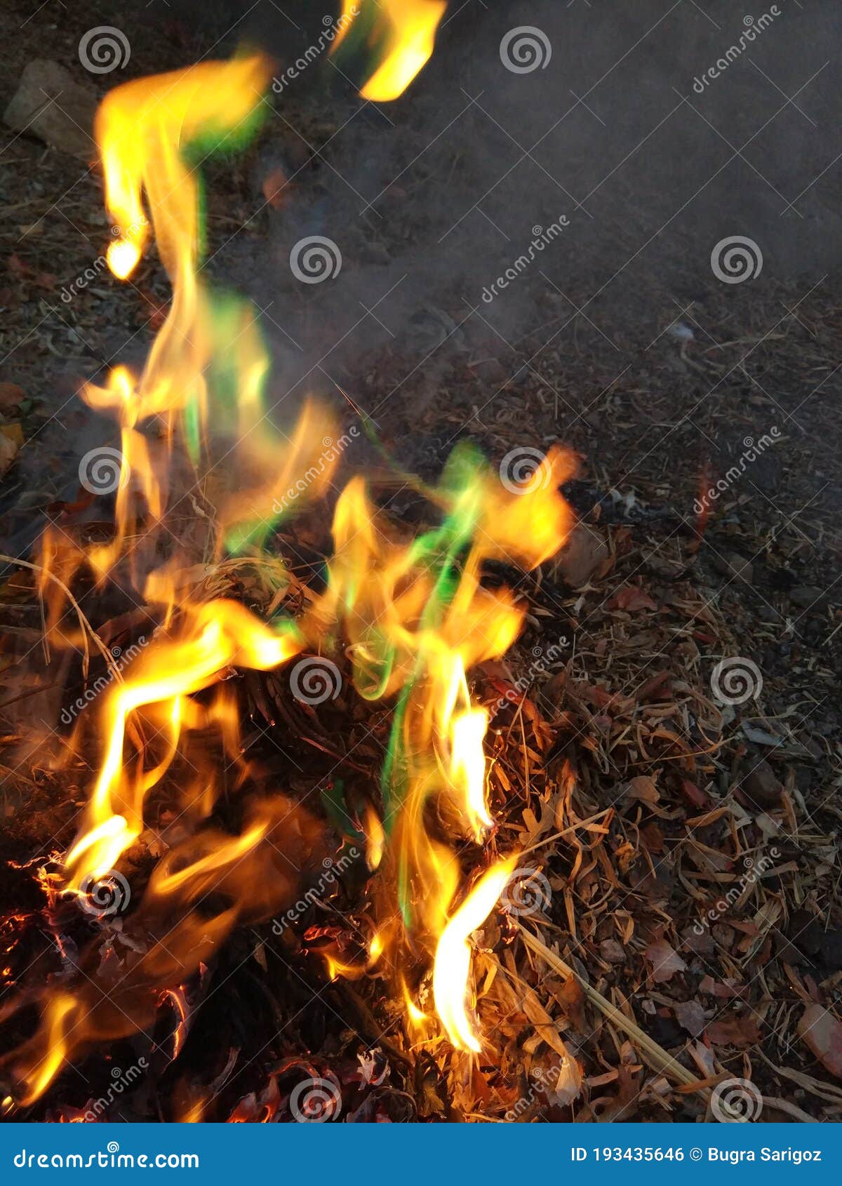 Fire with Different Colours Stock Photo - Image of fire, colours: 193435646