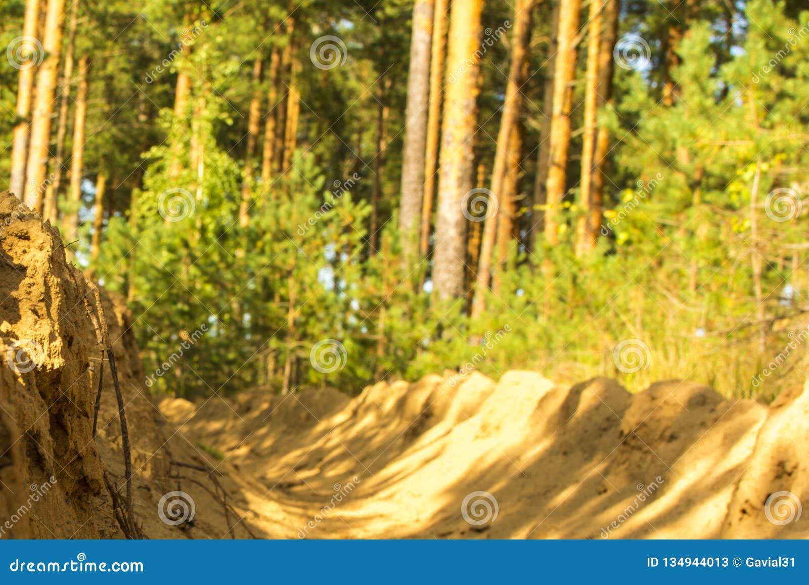 Fire ditch in the forest stock image. Image of prevention - 134944013