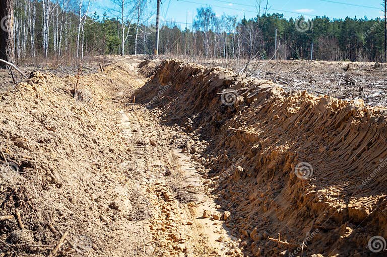 Fire Ditch in the Forest. New Fire Pit on the Outskirts of the Forest ...