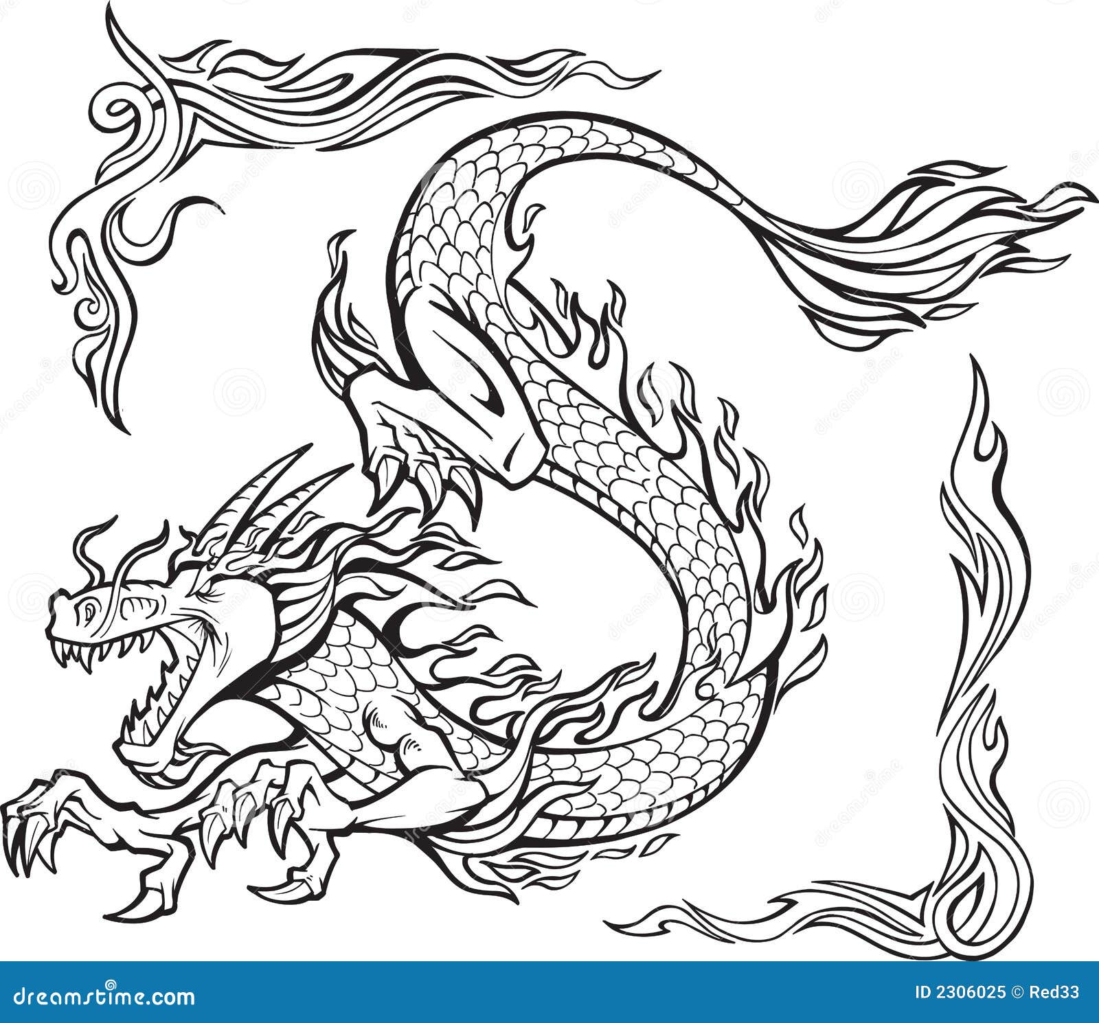 Chinese Fire Dragon Drawings