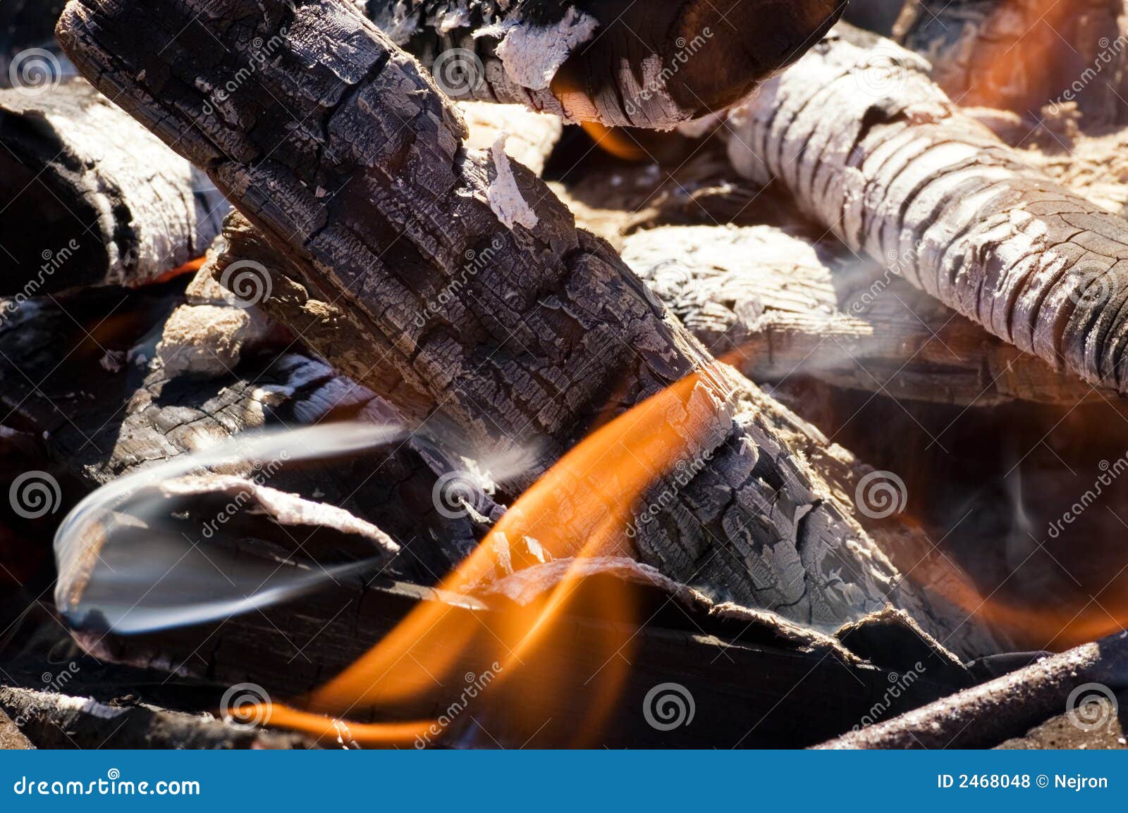 Fire in a dry forest stock photo. Image of heat, nature - 2468048
