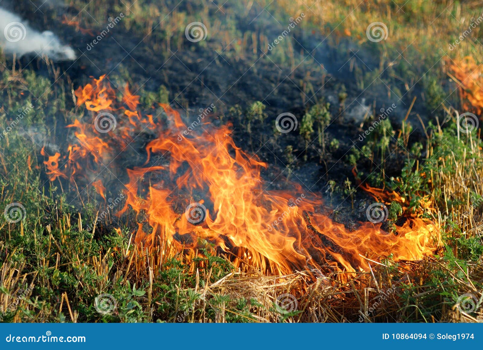Fire in the Dry Grass Field Stock Photo - Image of emergency, field ...