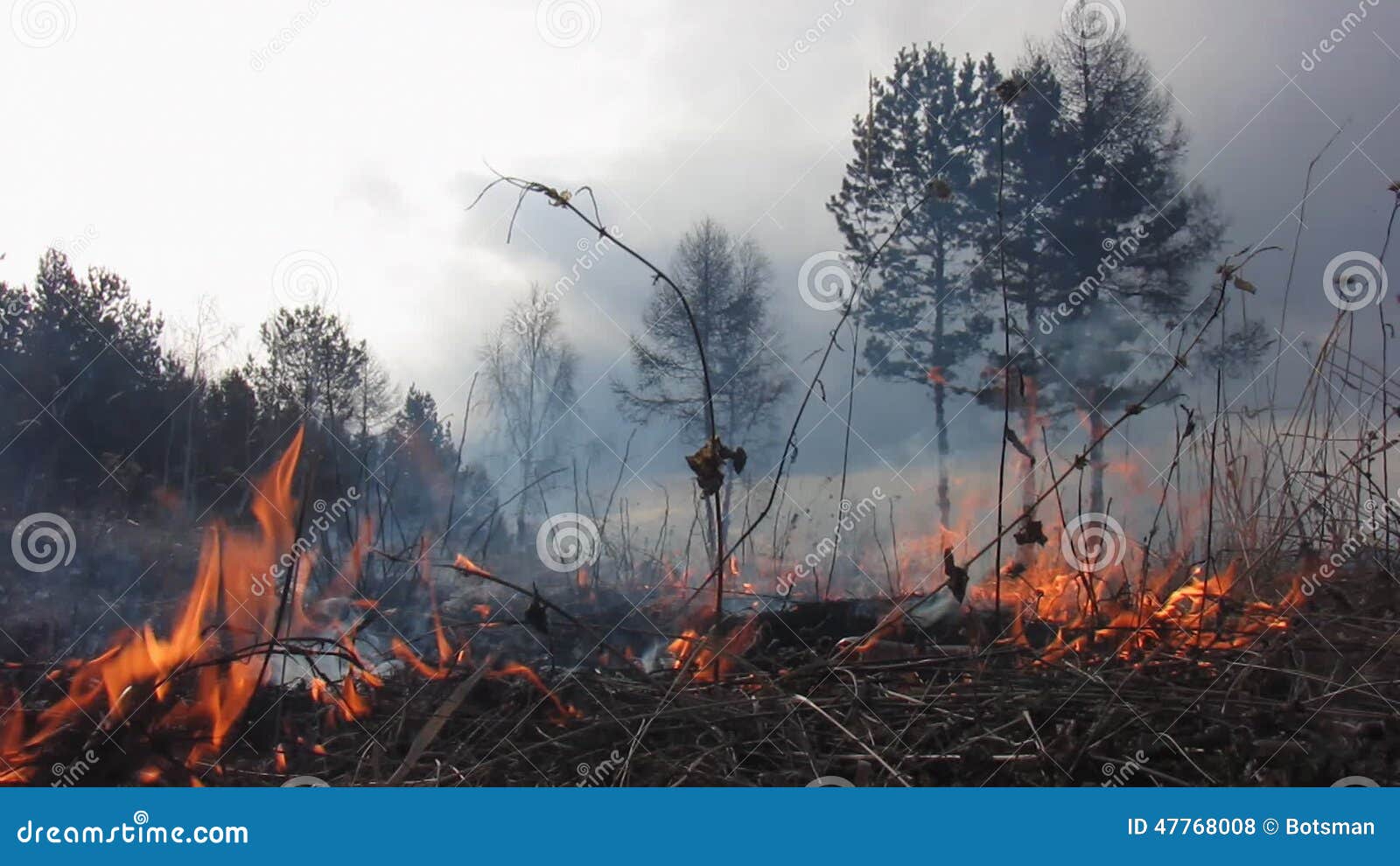 Fire in the Dry Grass Field. Stock Footage - Video of temperature ...
