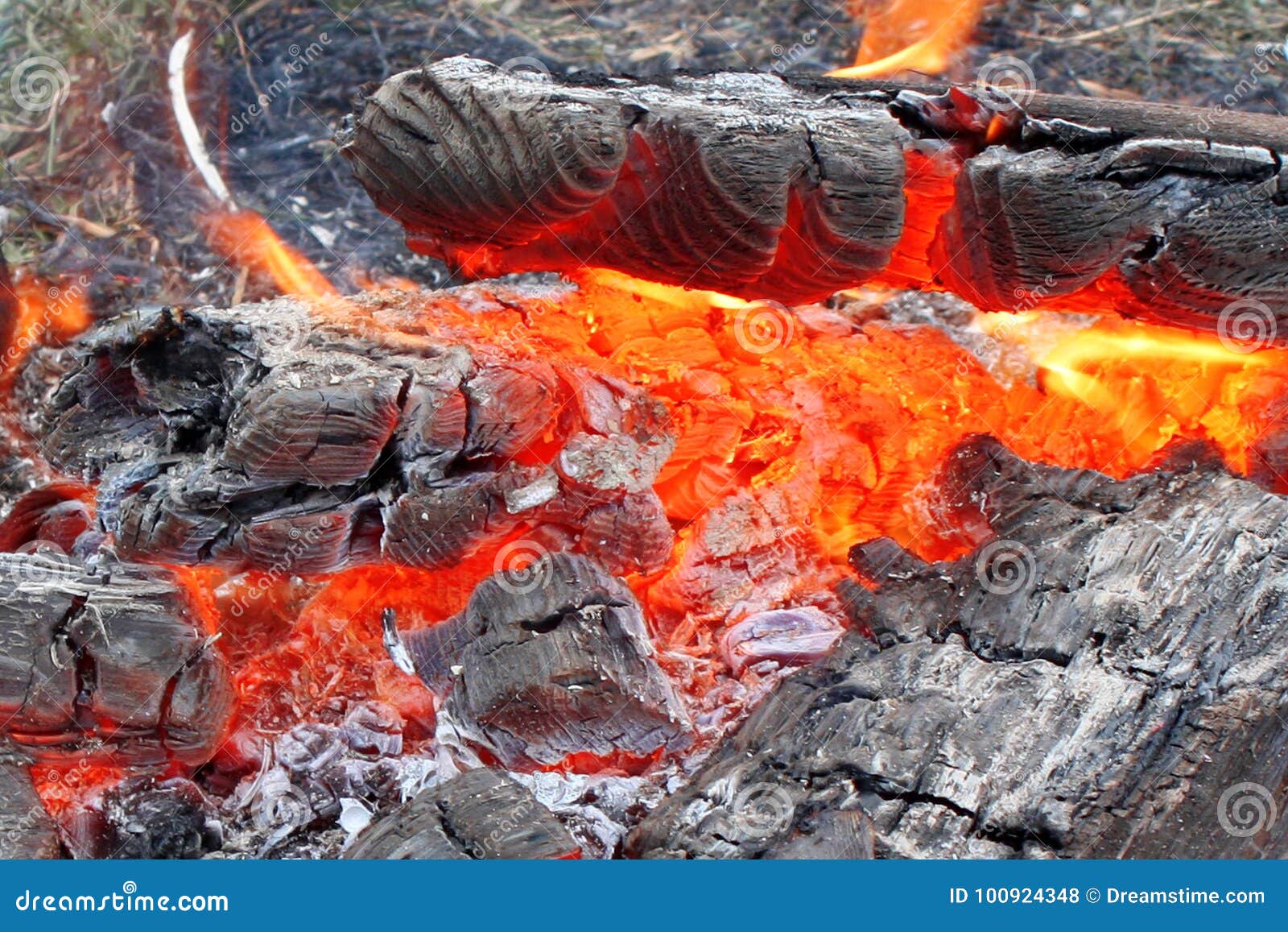 The fire stock photo. Image of fever, coals, burns, nature - 100924348