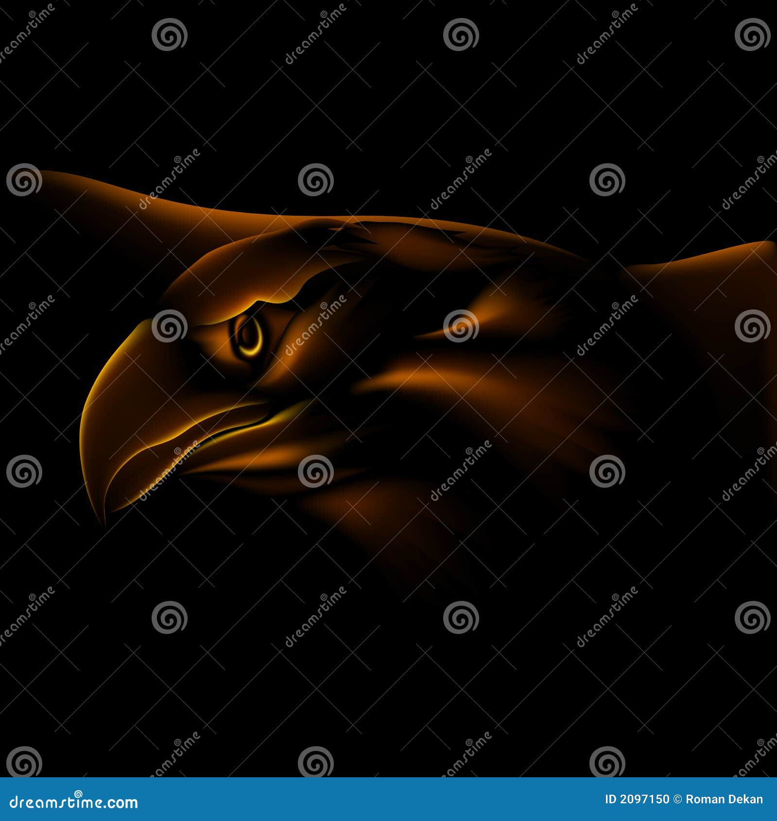 Fire Eagle stock vector. Illustration of life, bush, wild - 2097150