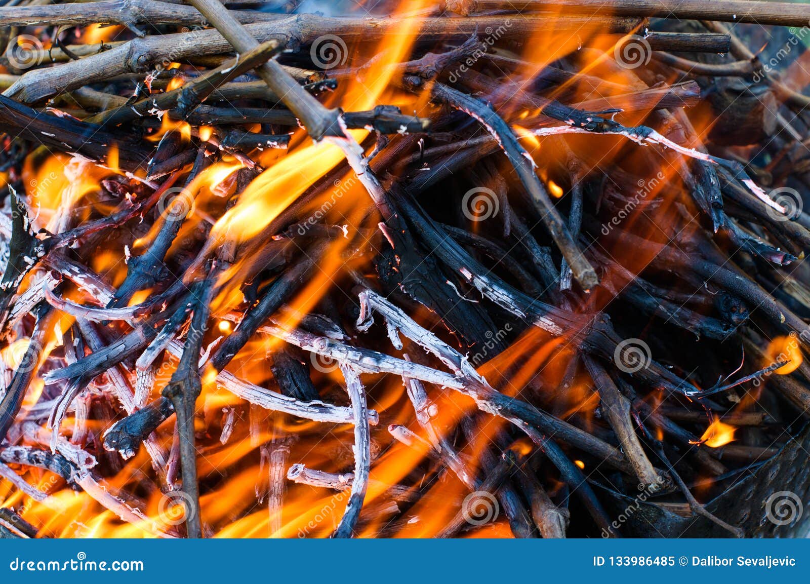 Fire with Embers for the Barbecue Stock Image - Image of flame ...
