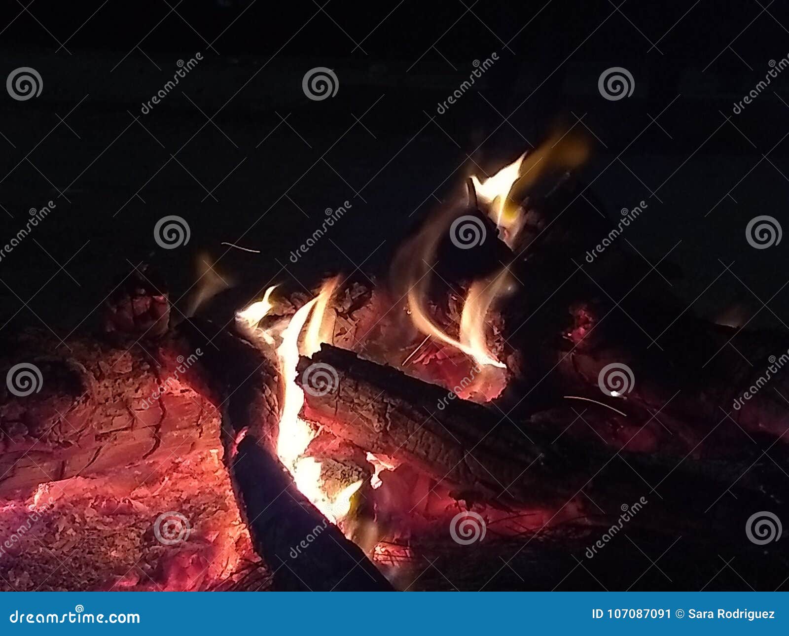 Fire & embers stock image. Image of fire, city, campfire - 107087091