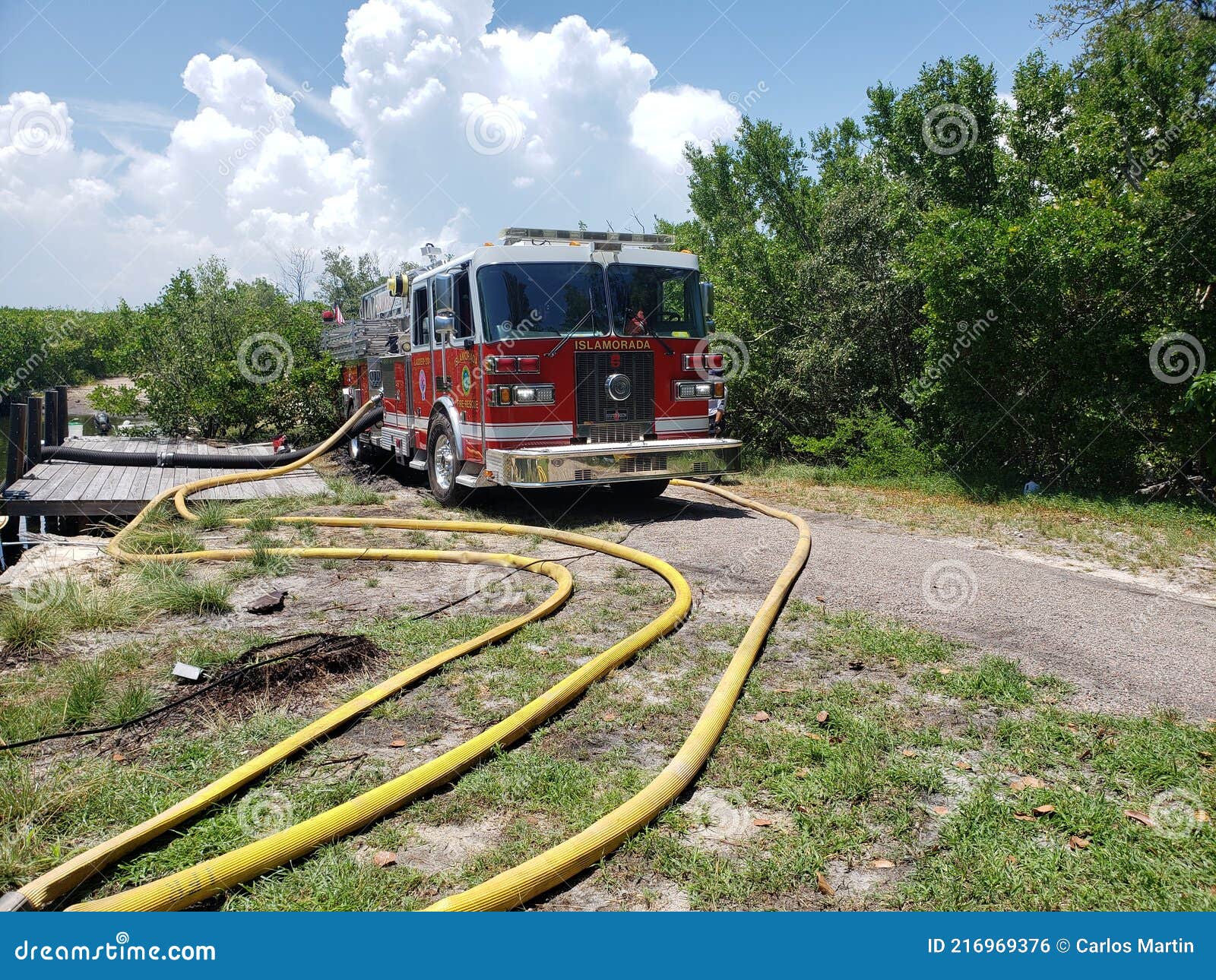 Fire engine with hoses editorial photo. Image of vehicle - 216969376