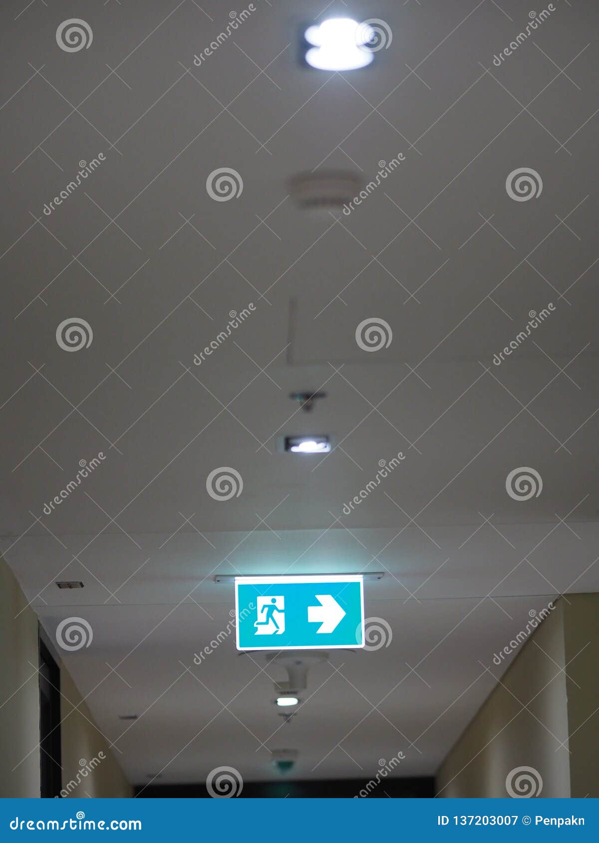 Fire Escape Sign on the Ceiling Fire Exit Arrow Symbol Stock Image ...