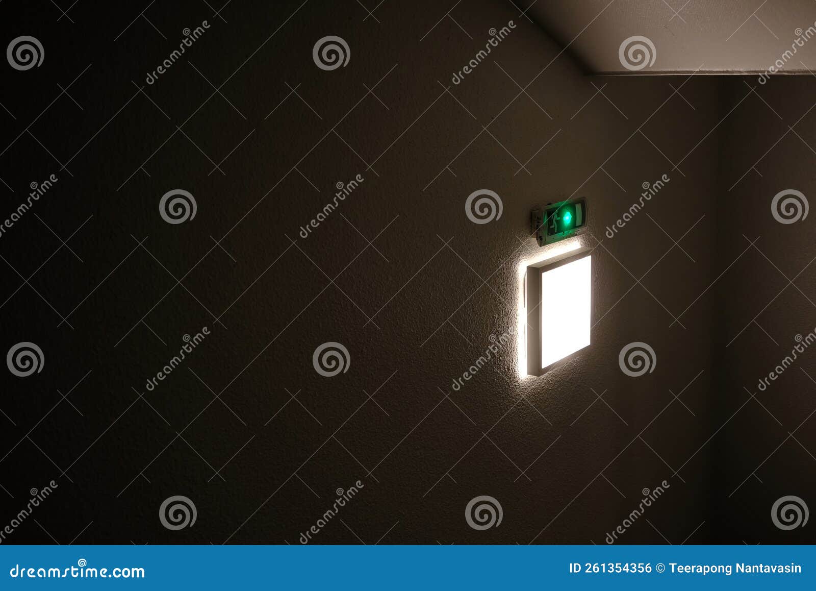 Fire Escape Sign and Emergency Light. Stock Photo - Image of icon ...