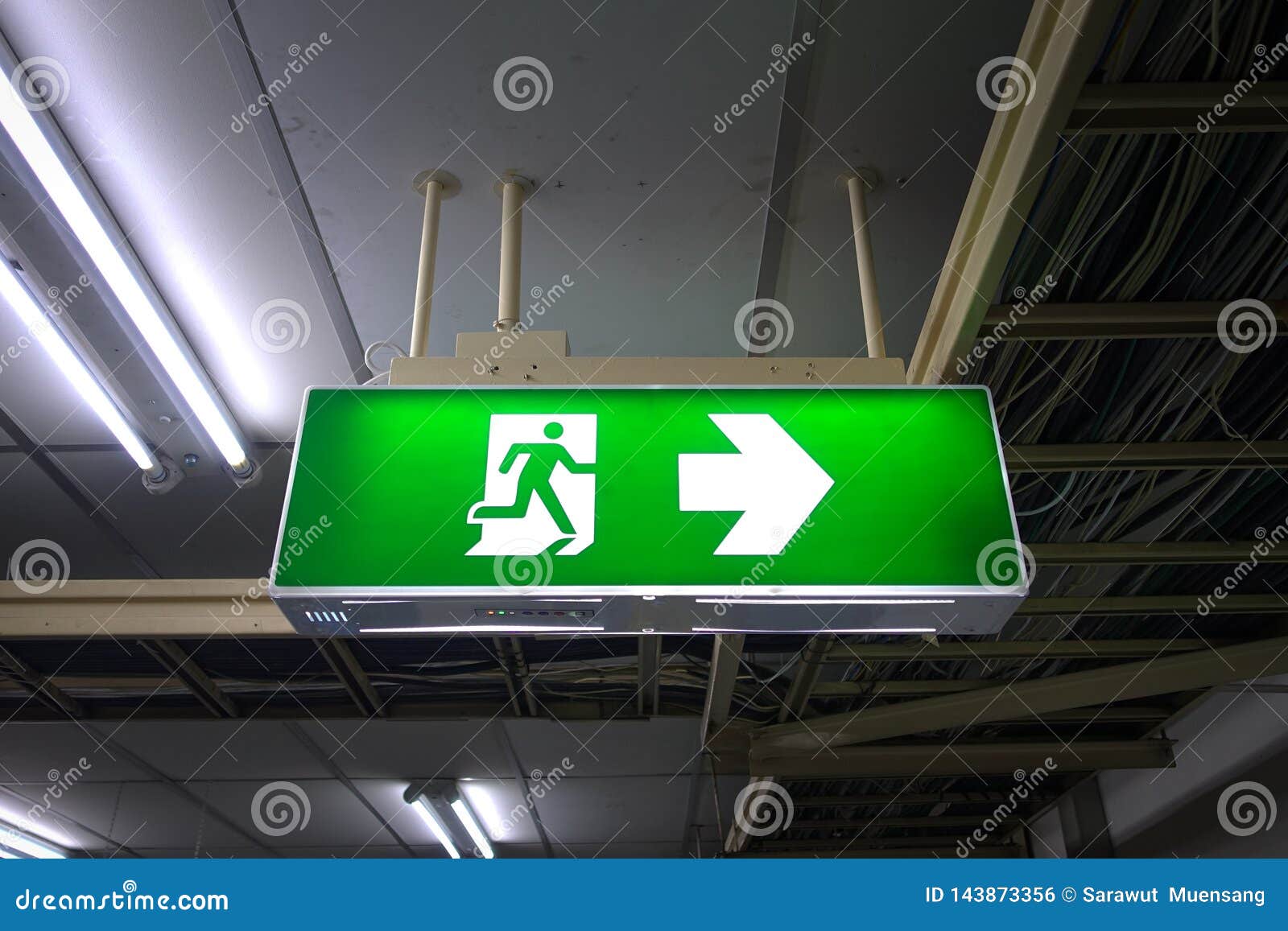 Fire exit in factory. stock photo. Image of focus, grandiflora - 143873356