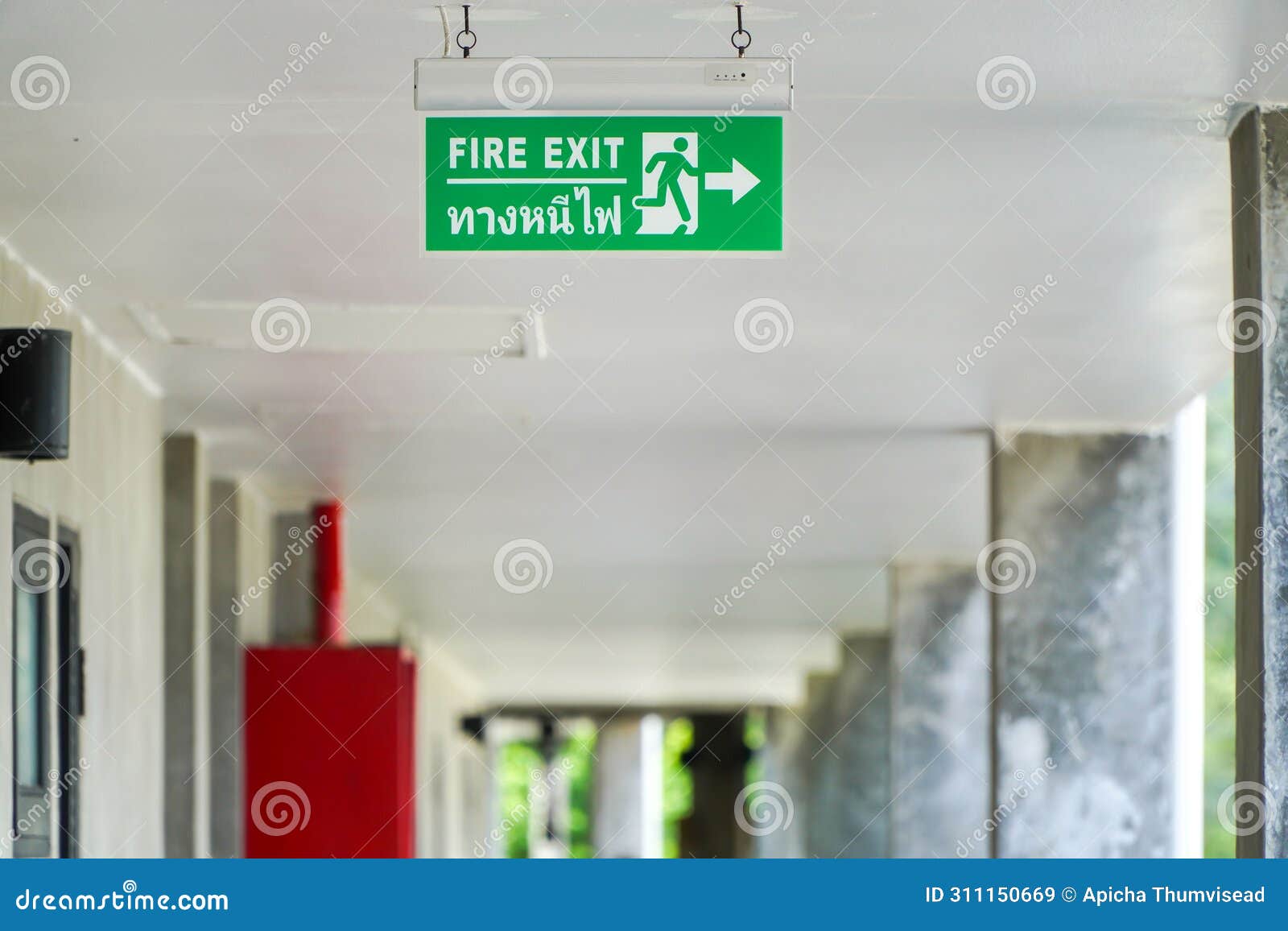 Fire Exit Sign on the Ceiling of a Building, Fire Exit Sign,Fire ...